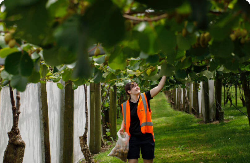 Pinpoint Hort Lab Services | Pinpoint Hort Lab Services